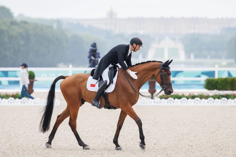 English Riding: 10 Must-Know Types for Every Equestrian 🐴