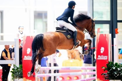 English Riding: 10 Must-Know Types for Every Equestrian 🐴