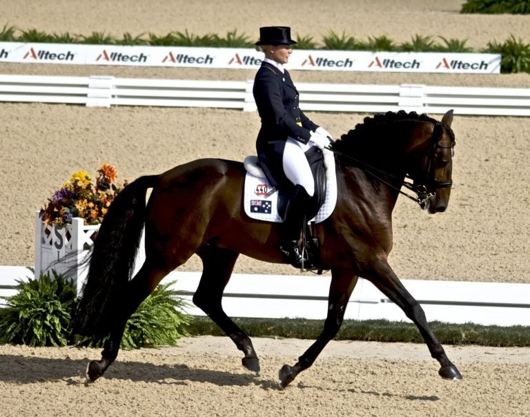 English Riding: 10 Must-Know Types for Every Equestrian 🐴
