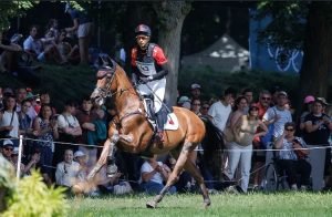 English Riding: 10 Must-Know Types for Every Equestrian 🐴